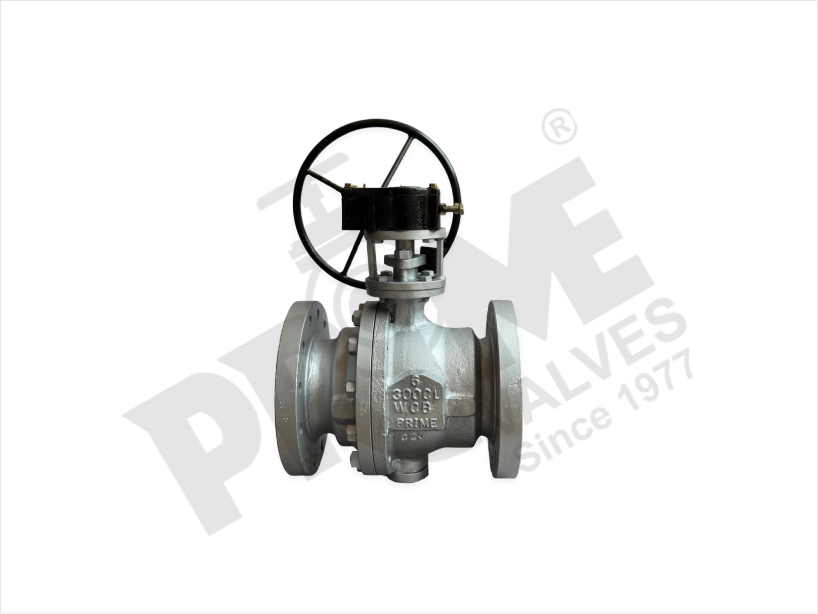Prime Valves India