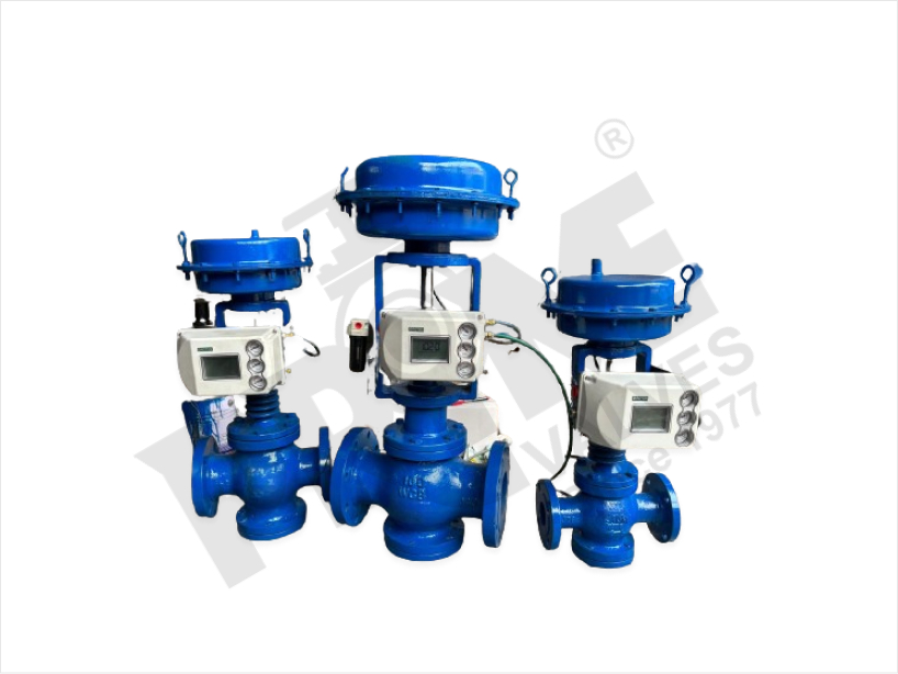 Prime Valves India