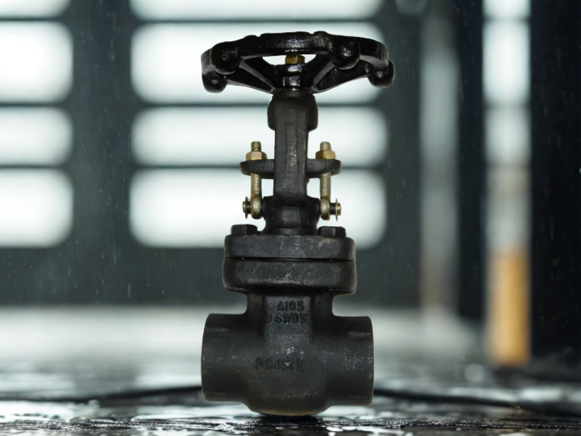 Prime Valves India